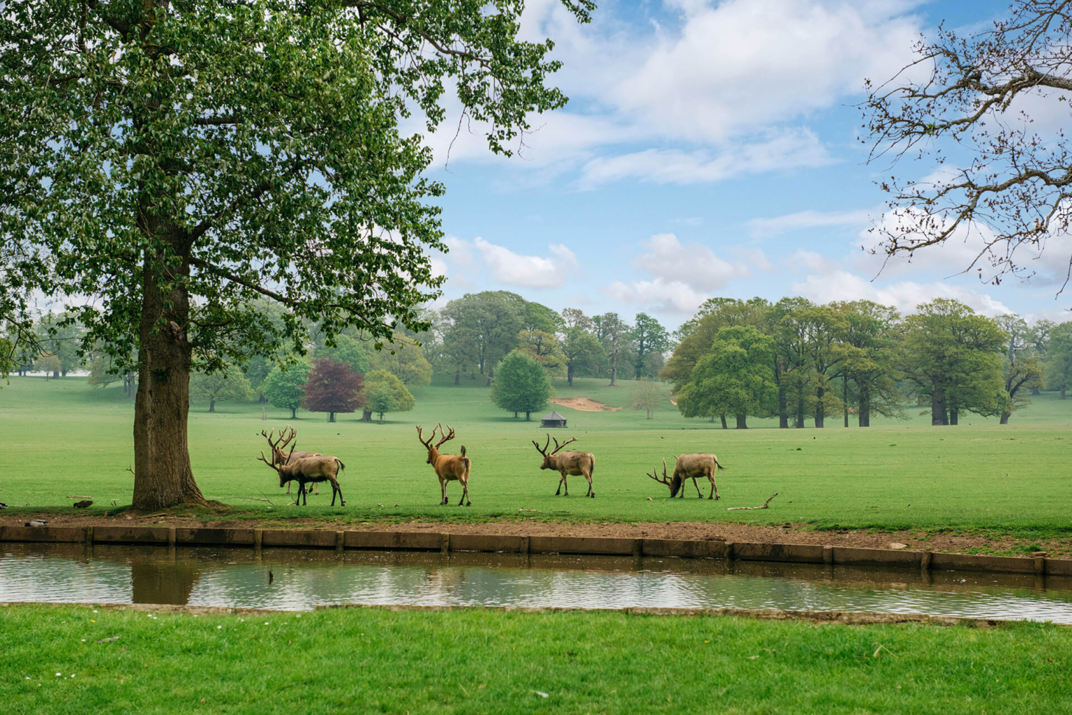 Woburn Sands | Michael Graham